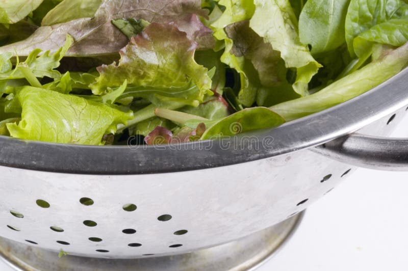 Collander with letuce stock photo. Image of detail, closeup - 1744292