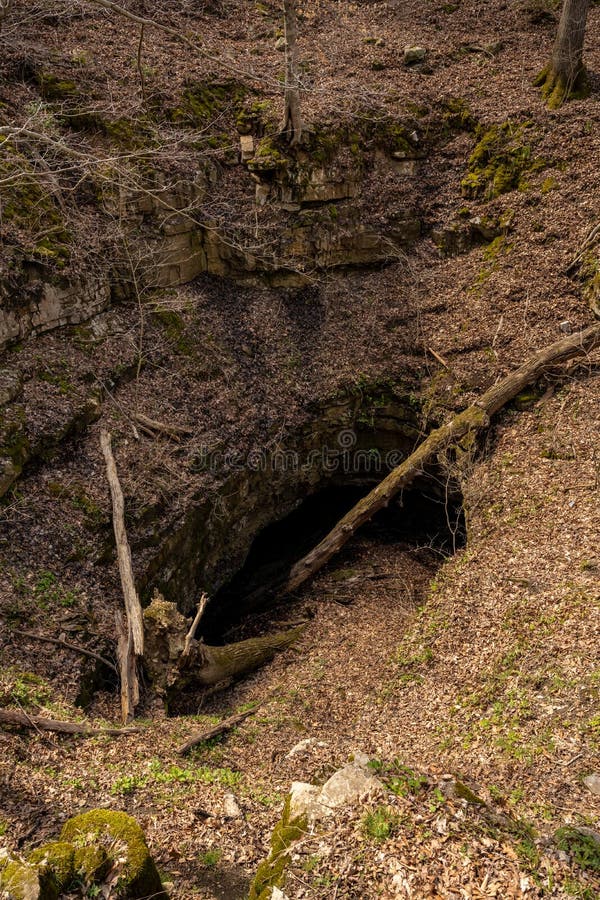 Collapsed Entrance To Mammoth Cave Stock Image - Image of forest, park ...