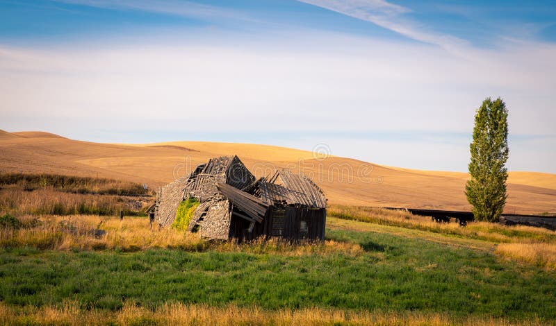 Old Barn Falling into Ruins Stock Photo - Image of forgotten, milk ...