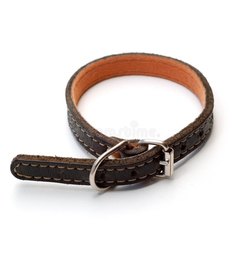 Collar stock photo. Image of buckle, closeup, neck, background - 7986180