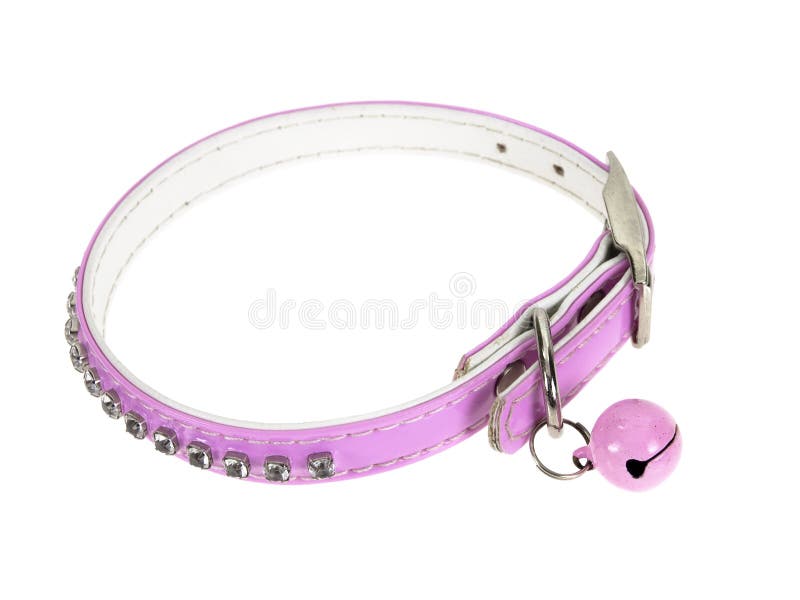 Cat Bell stock photo. Image of neck, pink, buckle, feline - 24900060