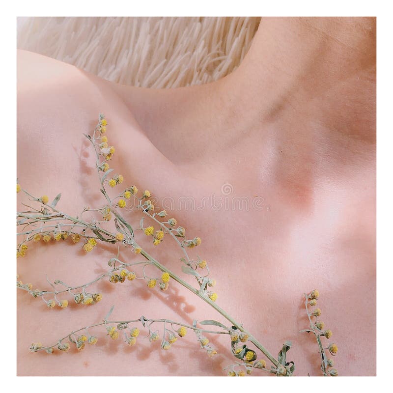 Collarbone stock image. Image of collarbone, skinny - 123752839