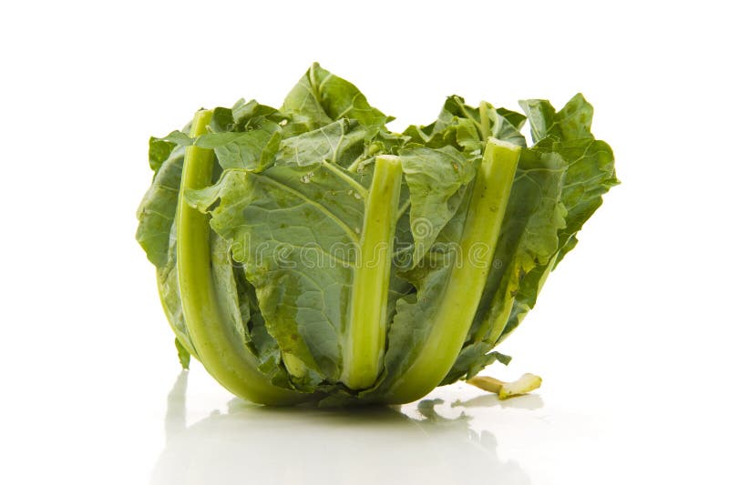 Collard greens stock image. Image of agriculture, greens - 15002387