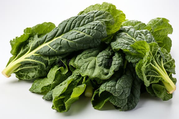Collard Greens on White Background Stock Illustration - Illustration of ...