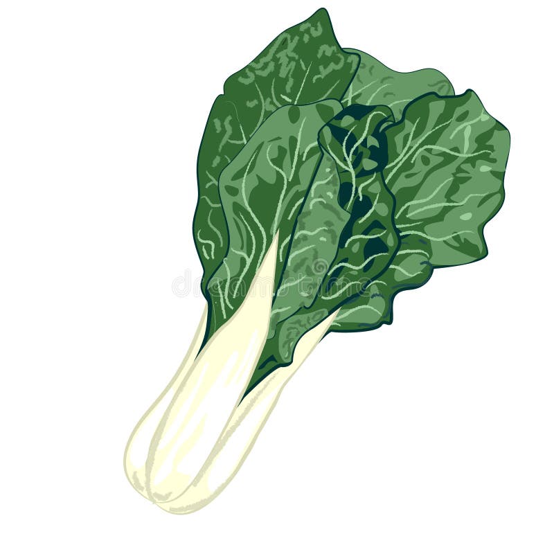 Collard Greens Soul Food Close Up, Gourmet Photography Style ...