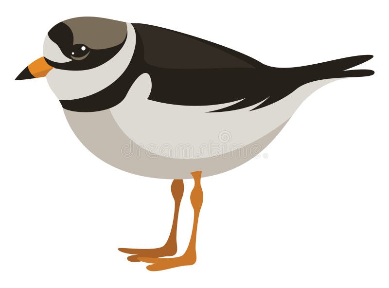 Bird Plover Stock Illustrations – 165 Bird Plover Stock Illustrations ...