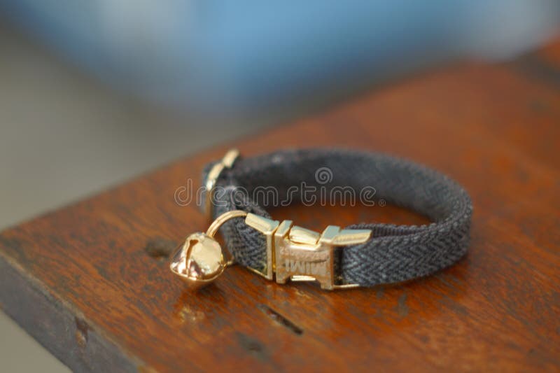 Collars for Animals with Names Engraved. Stock Image - Image of ring ...