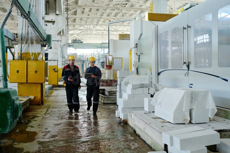 Colleagues Controlling the Process of Production in Plant Stock Photo ...