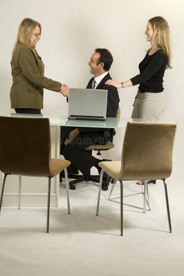 Colleagues In Meeting Picture. Image: 6451051