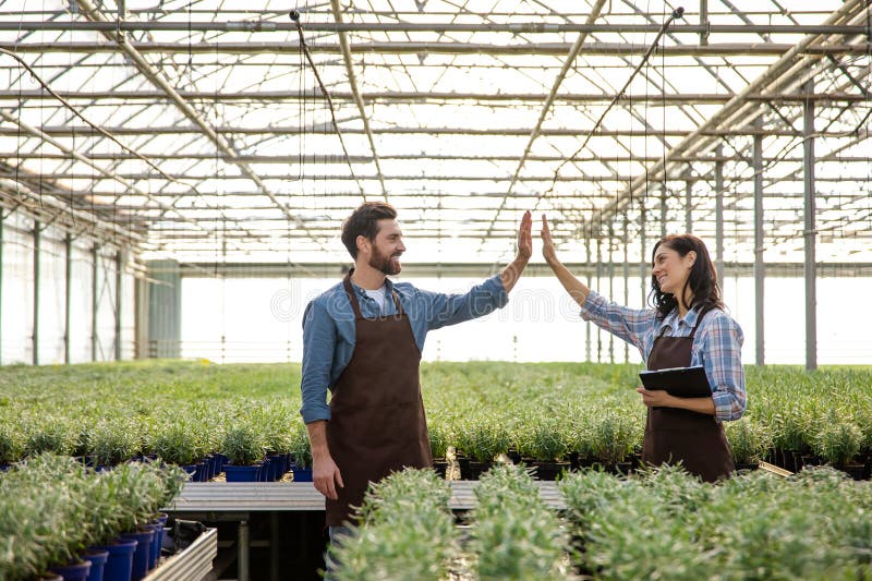 Colleagues Working in a Greenhouse Full of Plants Stock Image - Image ...