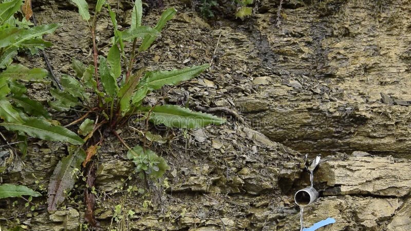 Collect Rainwater To Recycle and Reuse it Stock Footage - Video of ...