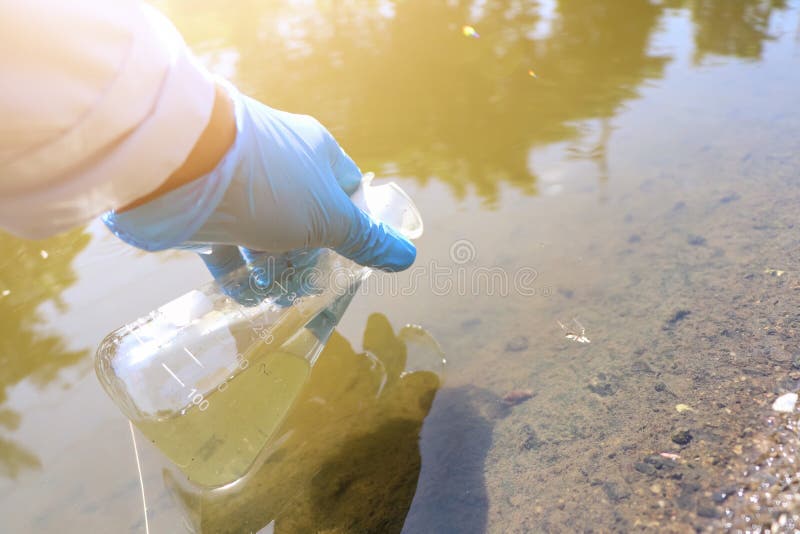 Collect Samples of Wastewater from Industrial Canals in Test Tube Stock ...