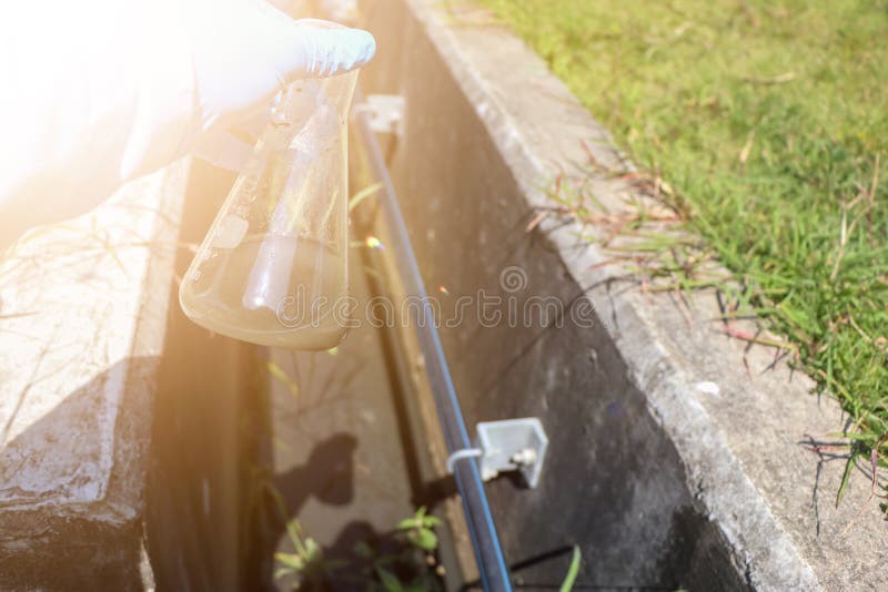 Collect water samples stock photo. Image of closeup - 202422270
