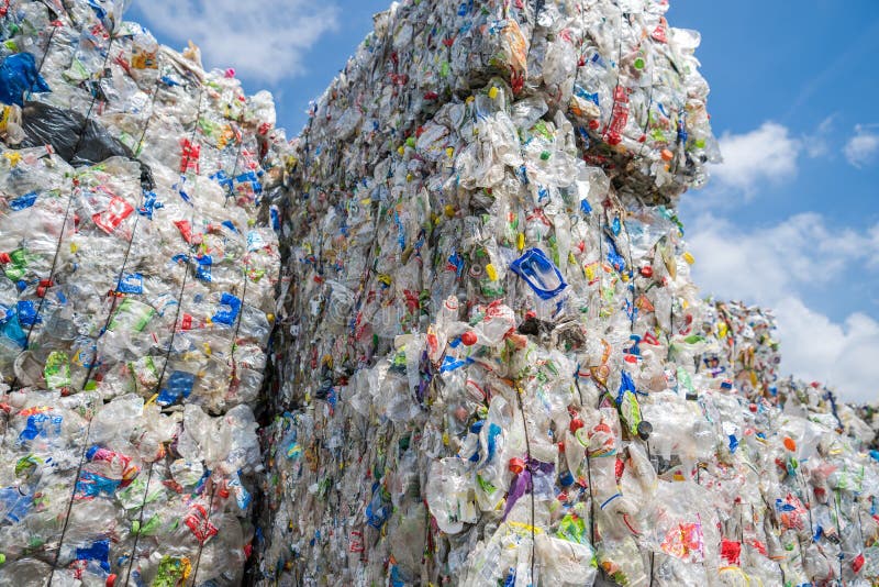 Collected Compacted and Ready for Recycling Plastic PET Bottles Stock ...