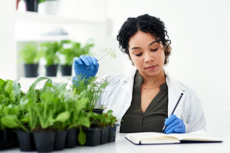 Collecting and Analyzing Data. a Female Scientist Making Notes while ...