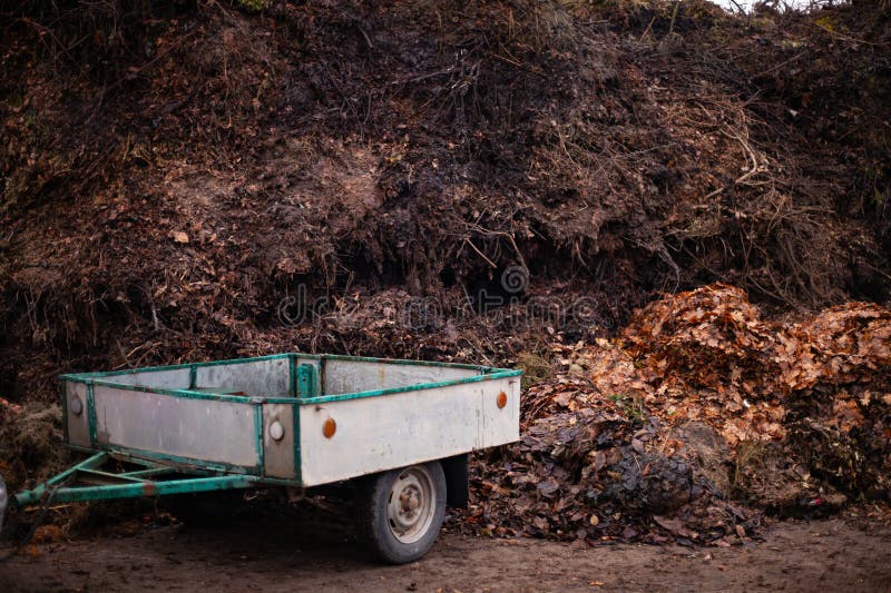 Collecting Green Waste for Composting Stock Photo - Image of earthwork ...