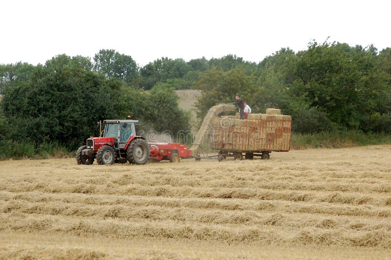 Collecting Hay editorial photography. Image of meadow - 76445217