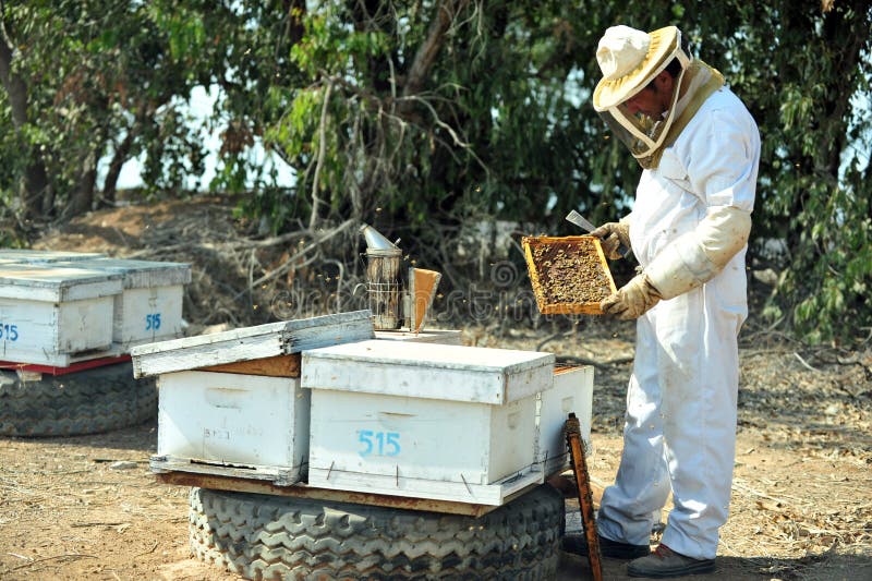 Honey Factory - Production Line Editorial Image - Image of israeli ...