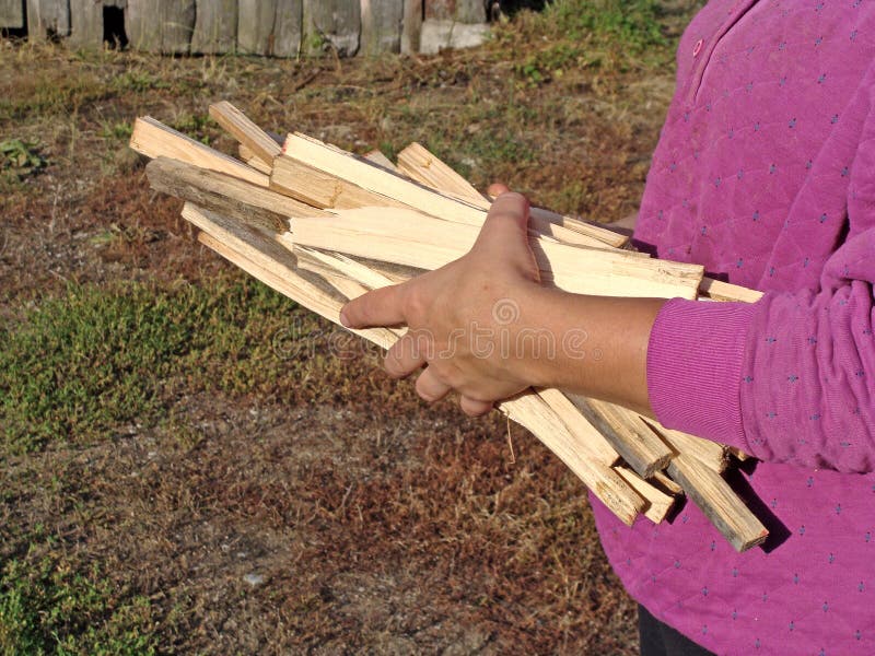 Collecting kindling 2 stock image. Image of slim, close - 167969681