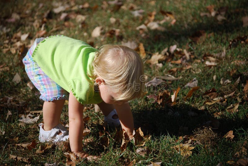 Collecting leaves stock photo. Image of focused, youth - 3453408