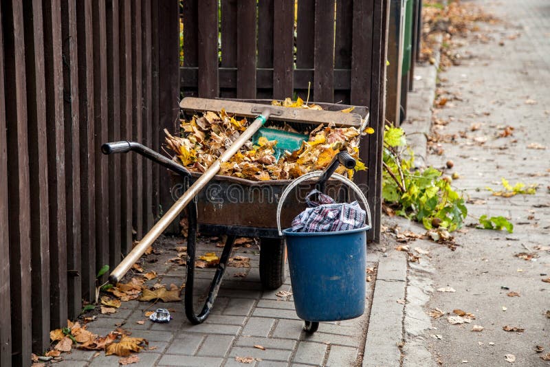Collecting Leaves in Garden Stock Photo - Image of full, conservation ...