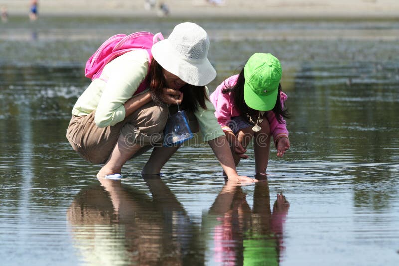 Collecting seashells stock photo. Image of child, adult - 958954