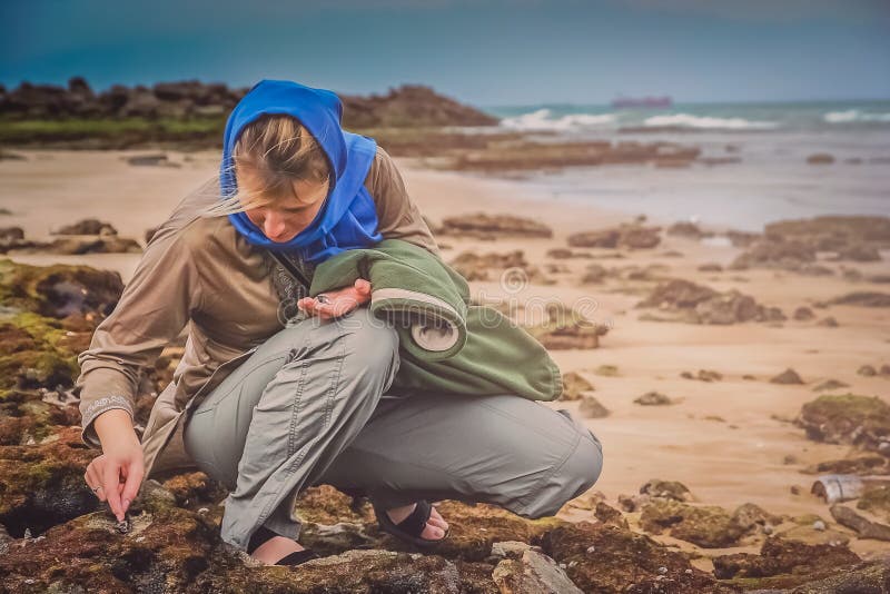 Woman collecting shells stock photo. Image of collecting - 10273598