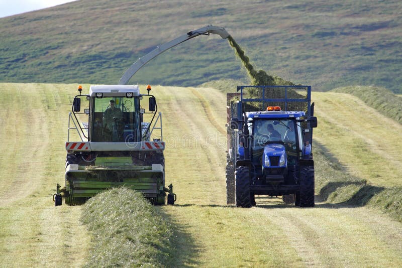 Agriculture - Collecting Grass for Silage Editorial Stock Image - Image ...