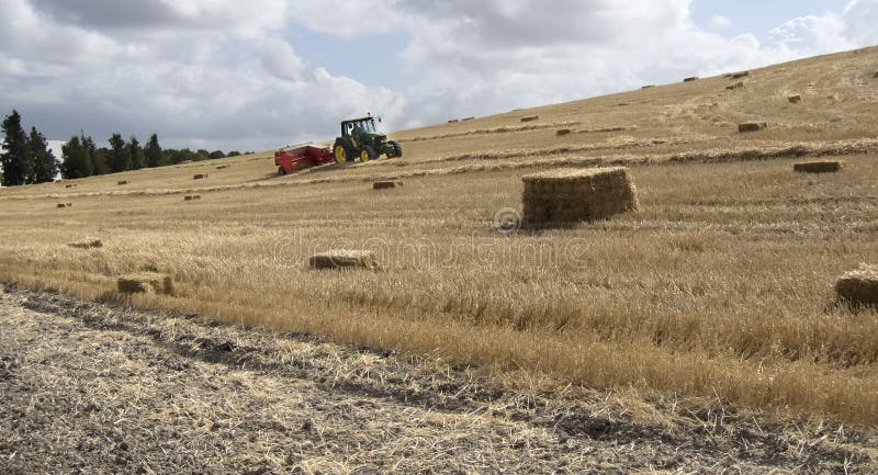 Collecting straw stock image. Image of work, straw, countryside - 33066511
