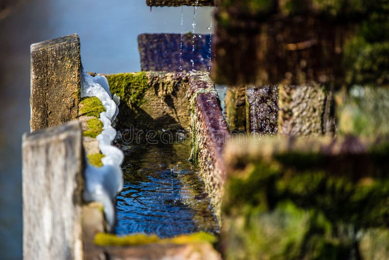 Collecting Vessel of a Mossy Water Wheel Stock Image - Image of ...