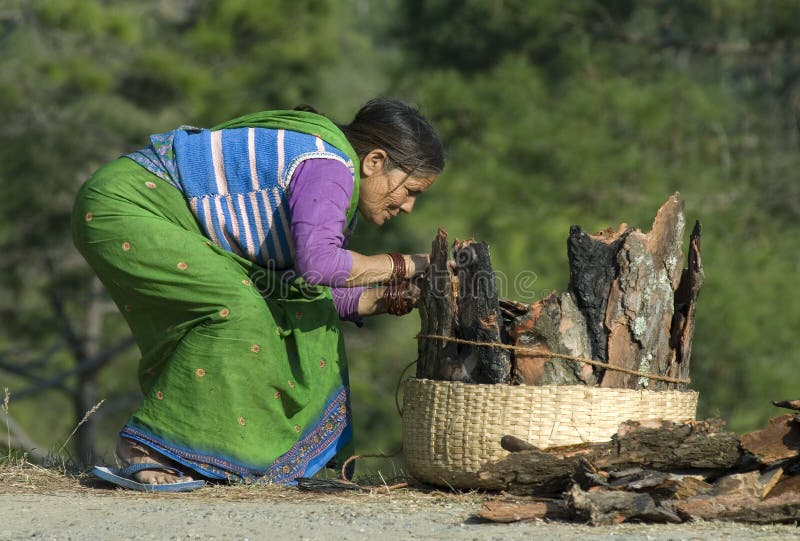 Collecting Wood editorial image. Image of cultural, farm - 11040795