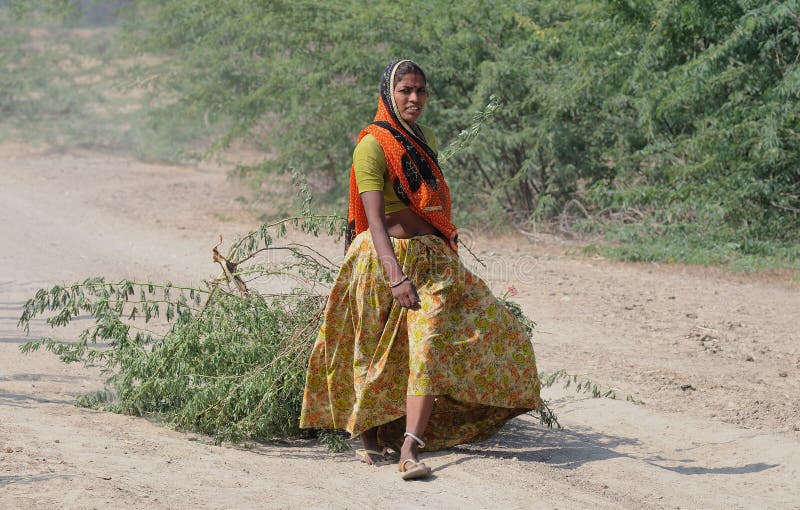 Collecting Wood editorial image. Image of cultural, asia - 12770835