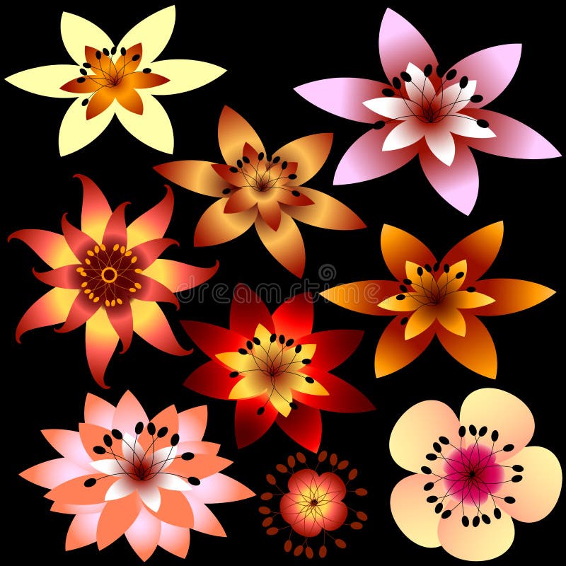 Collection Abstract Flowers (vector) Stock Vector - Illustration of ...