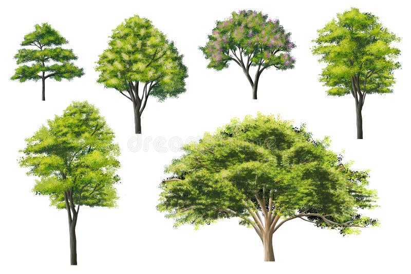 Abstract Green Tree Side View Stock Illustration - Illustration of ...