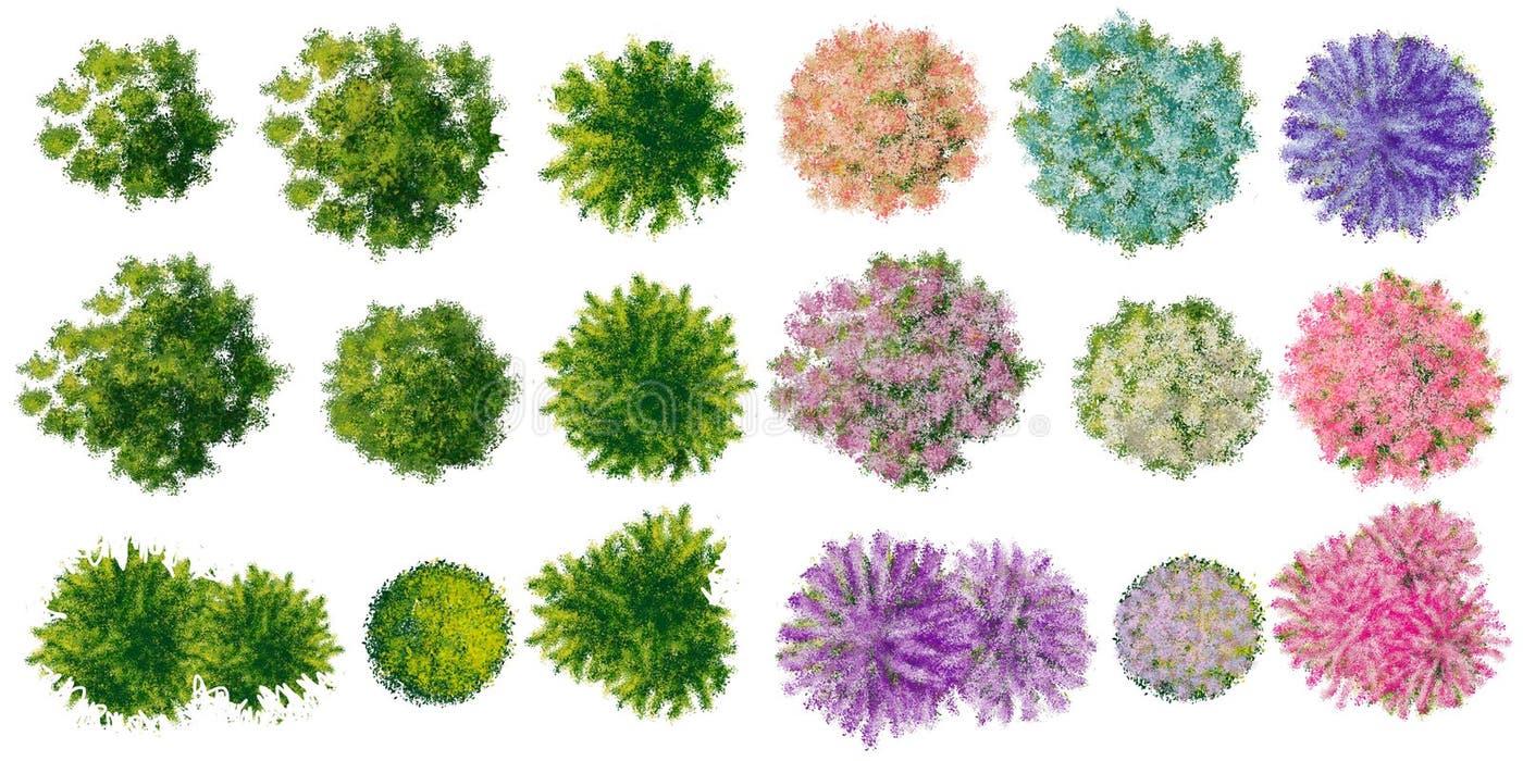 Tree Plan View Stock Illustrations – 6,680 Tree Plan View Stock ...