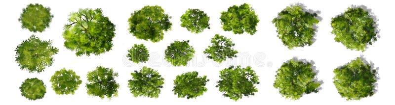 78+ Tree top view plan Free Stock Photos - StockFreeImages