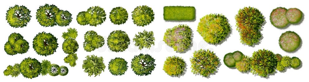 Tree Plan View Stock Illustrations – 5,822 Tree Plan View Stock ...