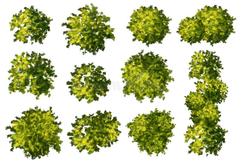 Abstract Green Tree Top View Stock Illustration - Illustration of ...