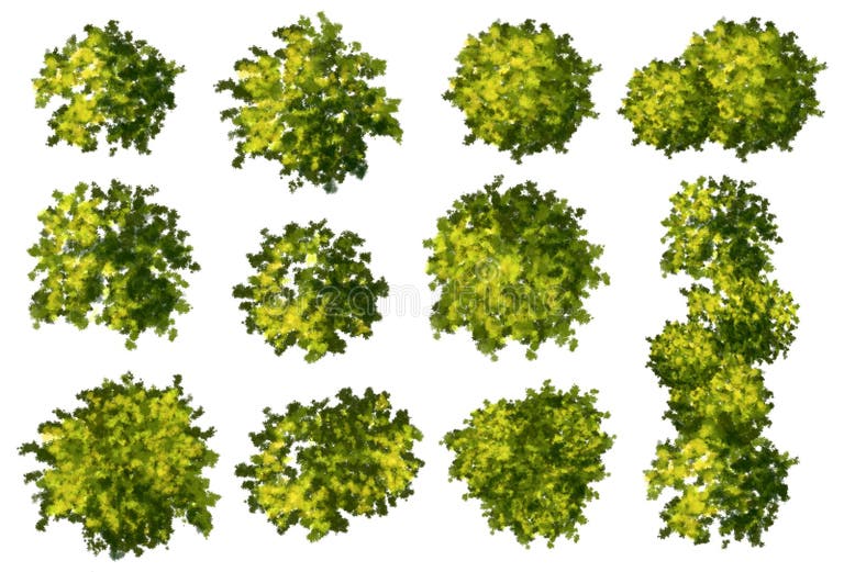 Abstract Green Tree Top View Stock Illustration - Illustration of ...