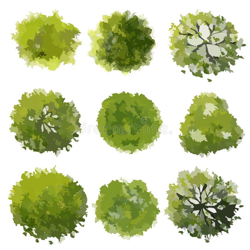 Watercolor tree top view stock illustration. Illustration of landscape ...