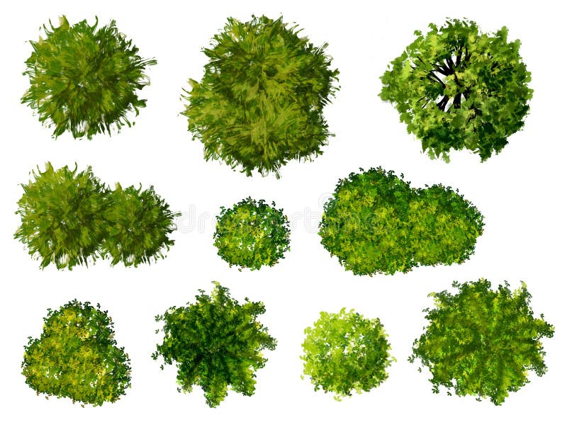 Watercolour Grass Top View