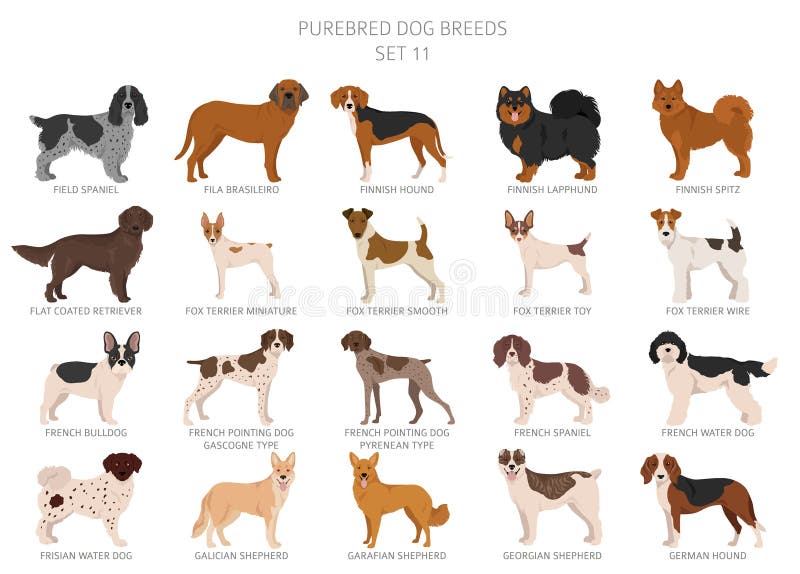 Collection of All Dog Breeds. Collection in 28 Sets Stock Vector ...
