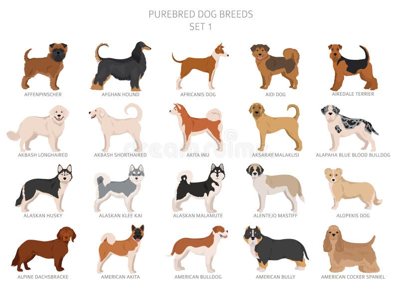 Collection of All Dog Breeds. Collection in 28 Sets Stock Vector ...