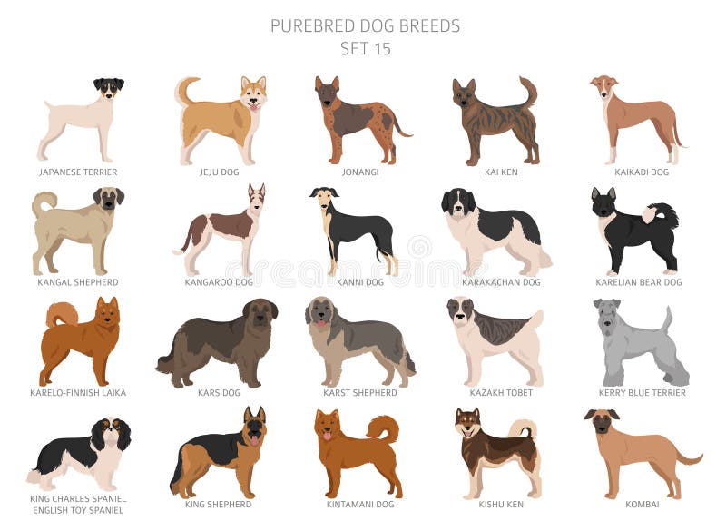 Collection of All Dog Breeds. Collection in 28 Sets Stock Vector ...