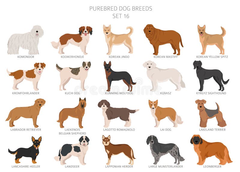 Collection of All Dog Breeds. Collection in 28 Sets Stock Vector ...