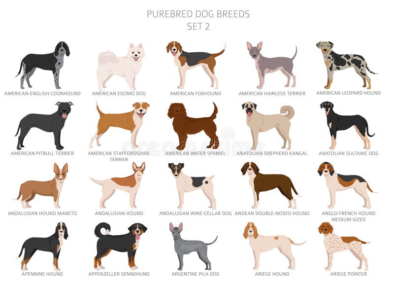 Collection of All Dog Breeds. Collection in 28 Sets Stock Vector ...