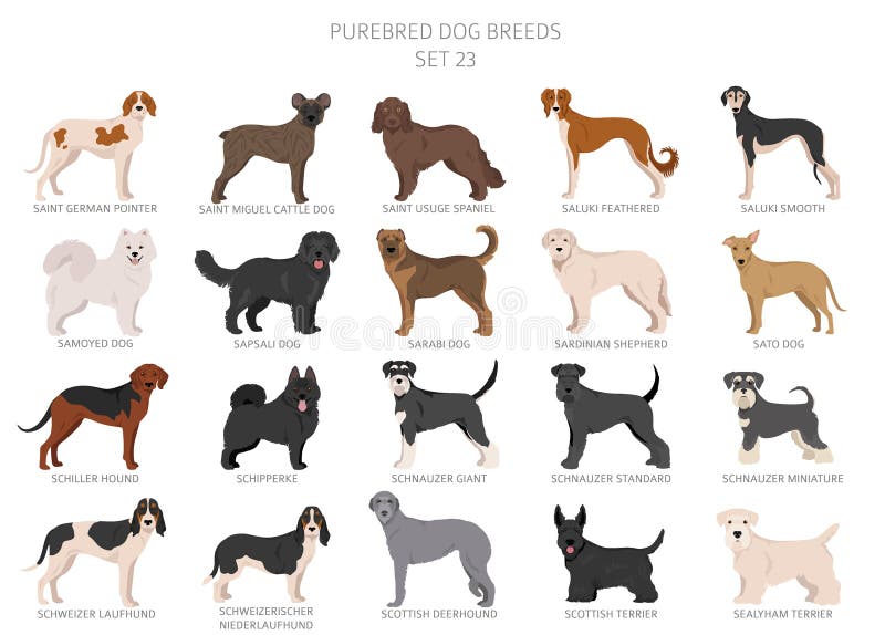 Collection of All Dog Breeds. Collection in 28 Sets Stock Vector ...