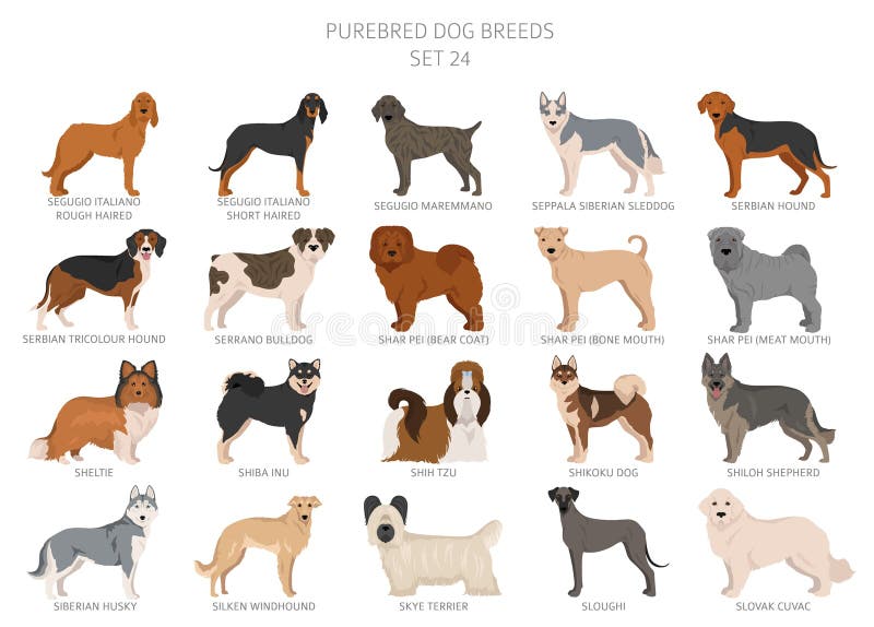 Collection of All Dog Breeds. Collection in 28 Sets Stock Vector ...