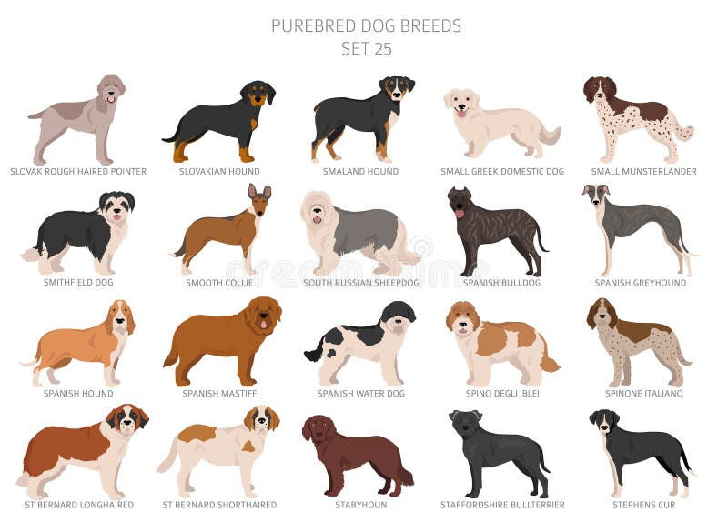 Collection of All Dog Breeds. Collection in 28 Sets Stock Vector ...