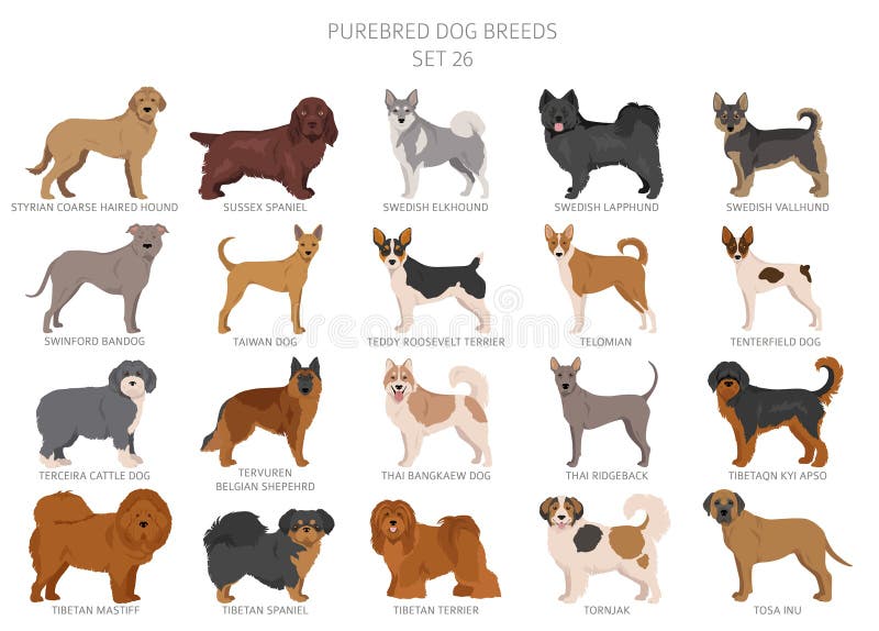 Collection of All Dog Breeds. Collection in 28 Sets Stock Vector ...